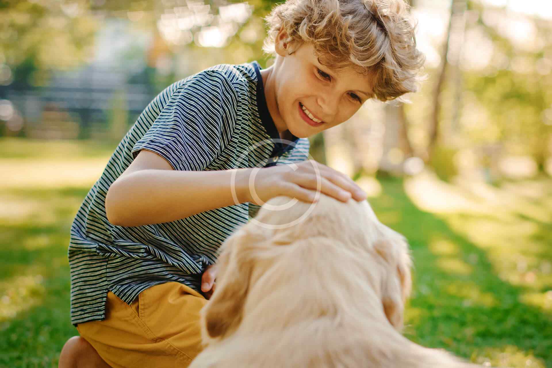 pit bull adoption near me